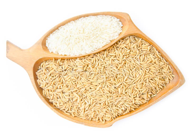 Different of Paddy and Raw Rice in Wooden Bowl Stock Photo - Image of ...