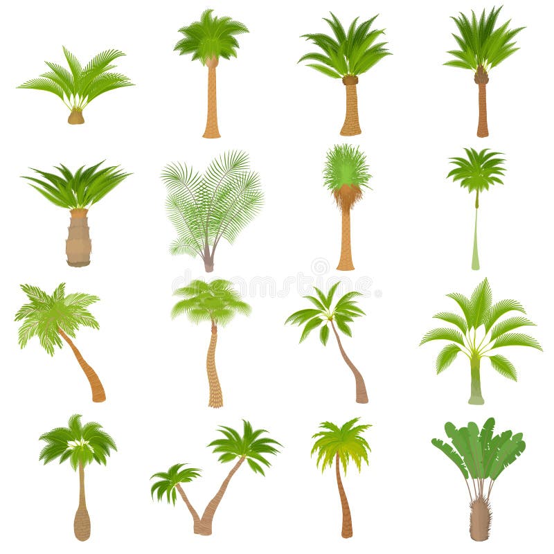 Different Palm Trees Icons Set, Cartoon Style Stock Vector ...