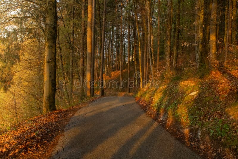 Different Perspective of Road and Golden Hour Light Stock Photo - Image ...