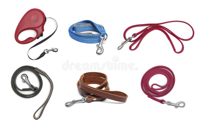 Different Pet Leashes on White Background, Collage Design Stock Photo ...