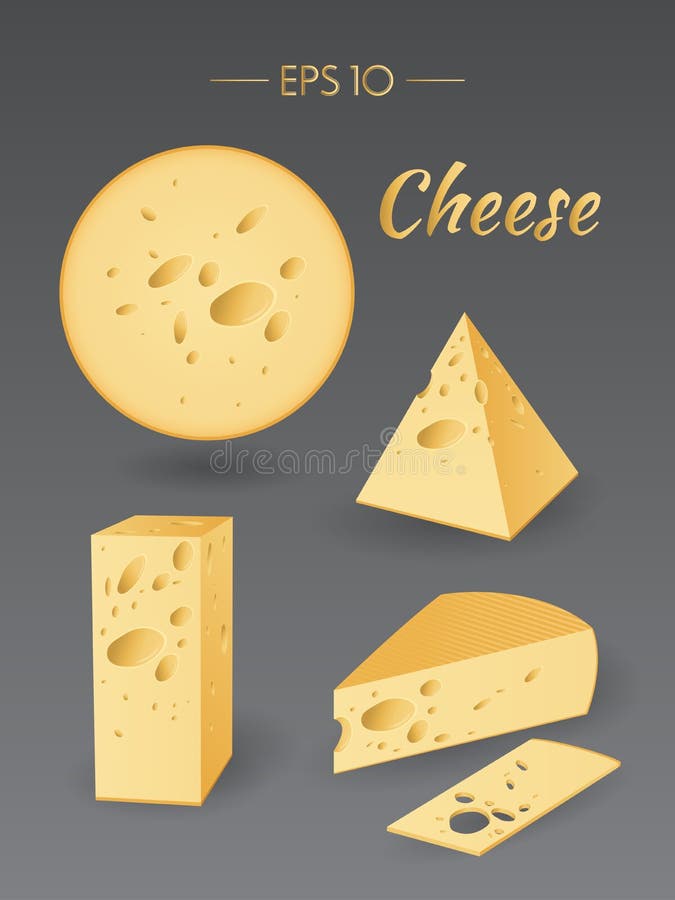 Different pieces of cheese stock vector. Illustration of merchandise ...