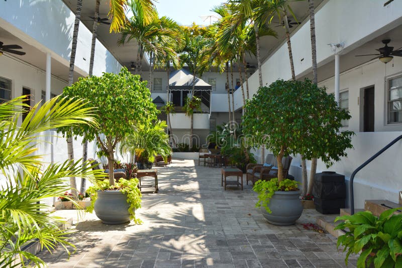 Hotel patio indoor garden stock photo. Image of garden - 6954488