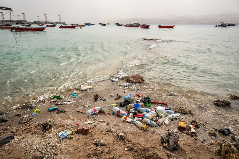 Different Plastic Garbage on the Beach Stock Image - Image of global ...