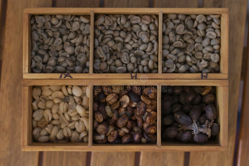 Different Process of Coffee Beans Natural Wash Honey Stock Image ...