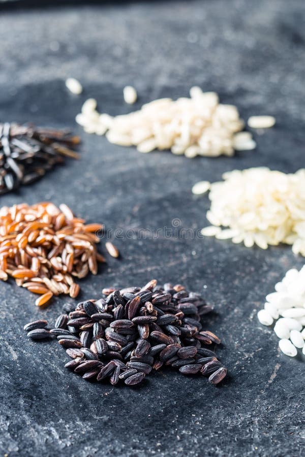 Different rice varieties. stock photo. Image of organic - 77473978