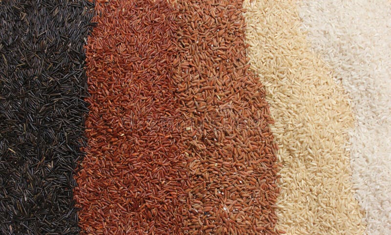 Different Rice Varieties in Rustic Kitchen. Stock Image - Image of pile ...