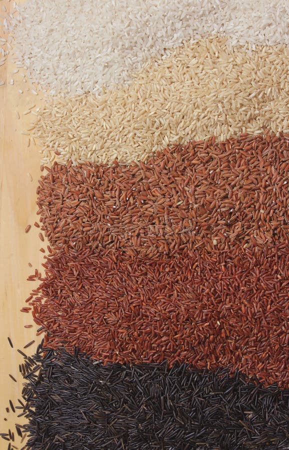 Different Rice Varieties in Rustic Kitchen. Stock Image - Image of ...