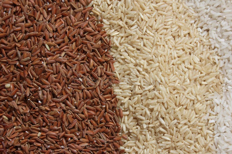 Different Rice Varieties in Rustic Kitchen. Stock Photo - Image of ...
