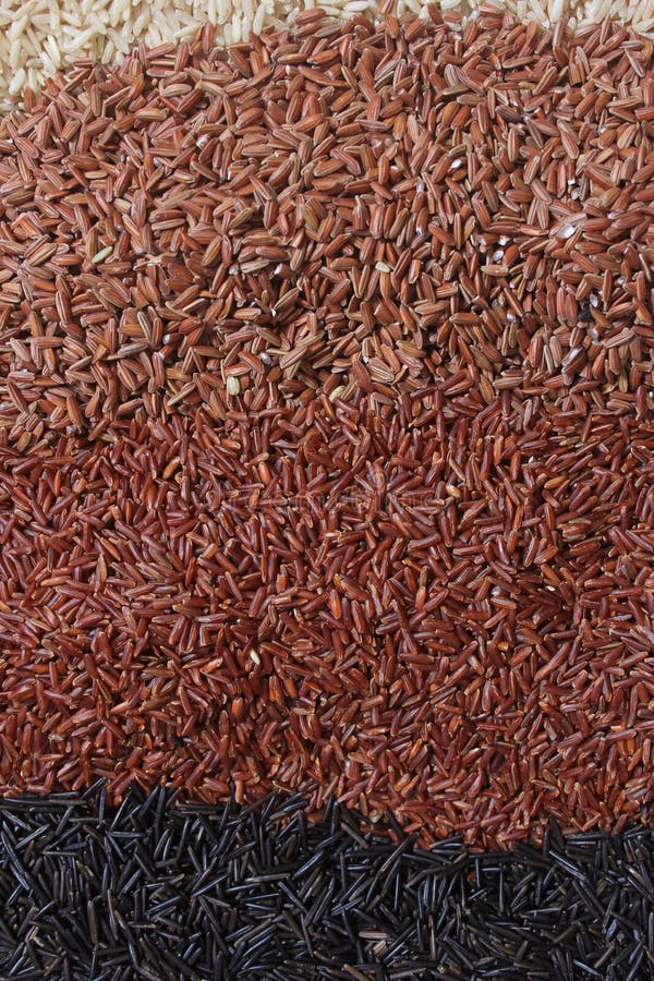 Different Rice Varieties in Rustic Kitchen. Stock Photo - Image of ...