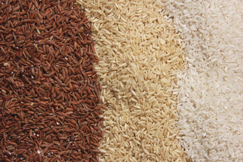 Different Rice Varieties in Rustic Kitchen. Stock Image - Image of ...