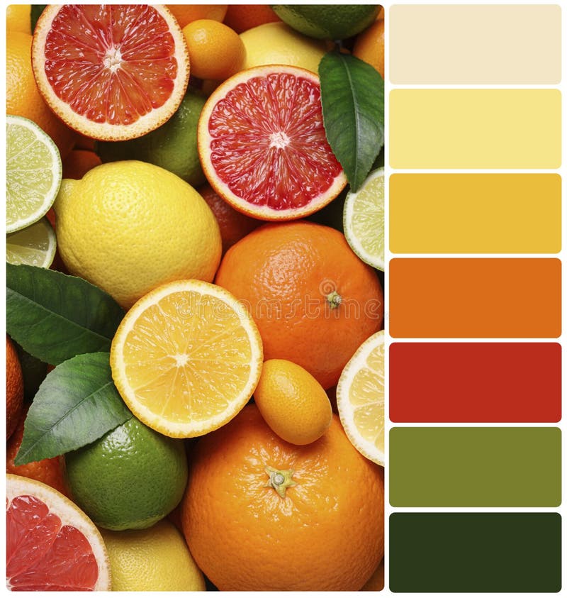 Different Ripe Citrus Fruits and Color Palette. Collage Stock Photo ...