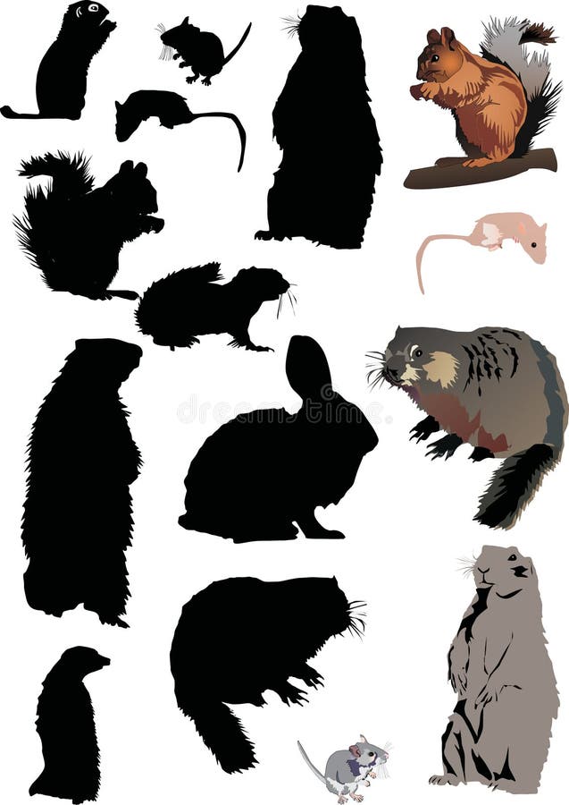 Different rodents stock vector. Illustration of shape - 4830550
