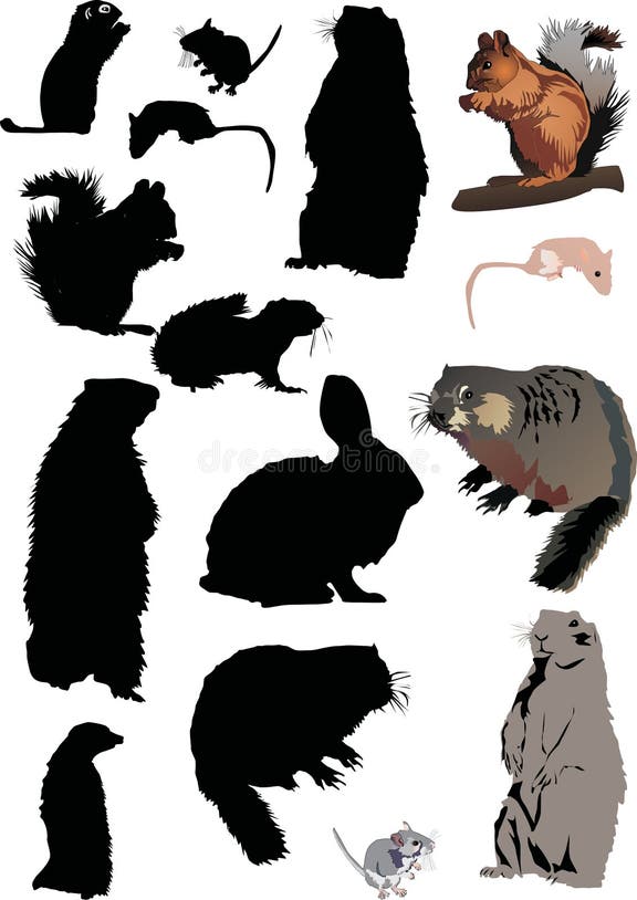 Different rodents stock vector. Illustration of shape - 4830550