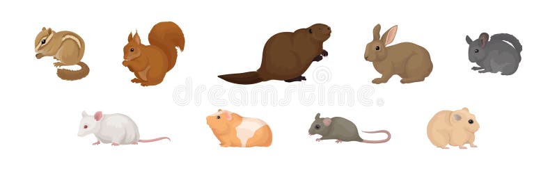 Robust Vector Stock Illustrations – 1,636 Robust Vector Stock ...