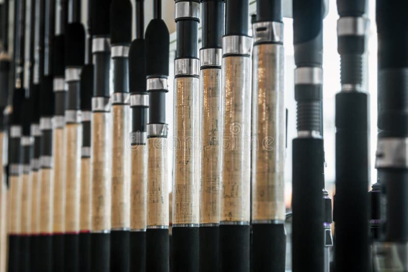 Different Rods and Spinning Rods for Fishing on the Counter in the ...