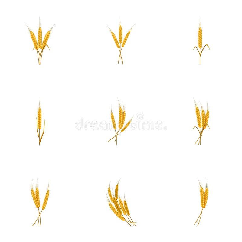 Different Rye Icons Set, Cartoon Style Stock Vector - Illustration of ...