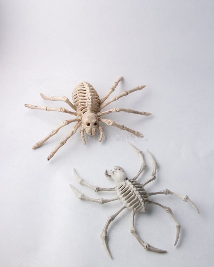 2 Scary Spider Skeletons with Red Eyes Halloween Decorations Isolated ...