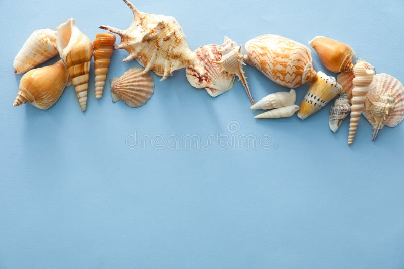 Sea Shells Color Nature stock image. Image of small, full - 29479203