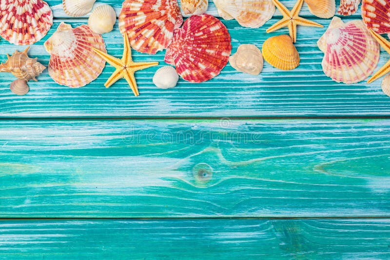Different Sea Shells on Color Wooden Background Stock Image - Image of ...