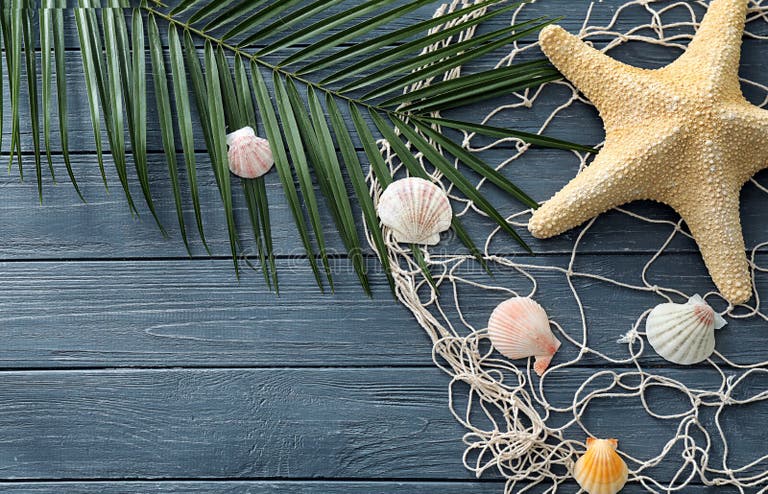 Different Sea Shells and Palm Leaf on Wooden Background Stock Image ...