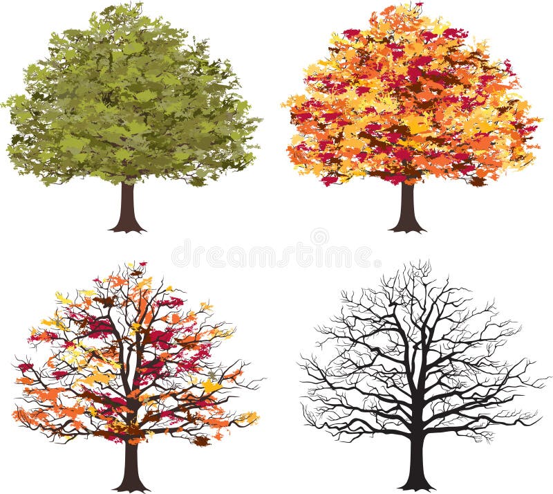 Different Seasons of Art Tree. Vector Stock Vector - Illustration of ...