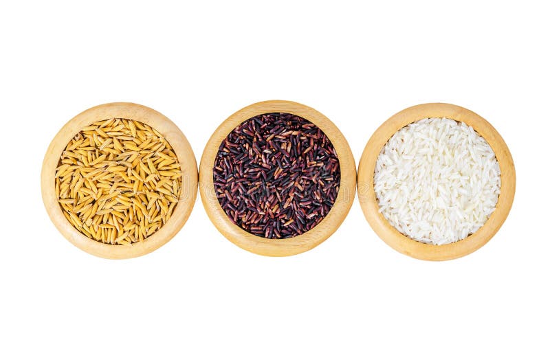 The Different of set rice. stock image. Image of nature - 91428919