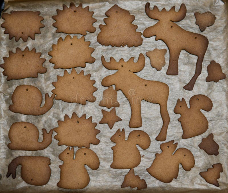 Different Shapes Baked from Gingerbread Dough Stock Image - Image of ...