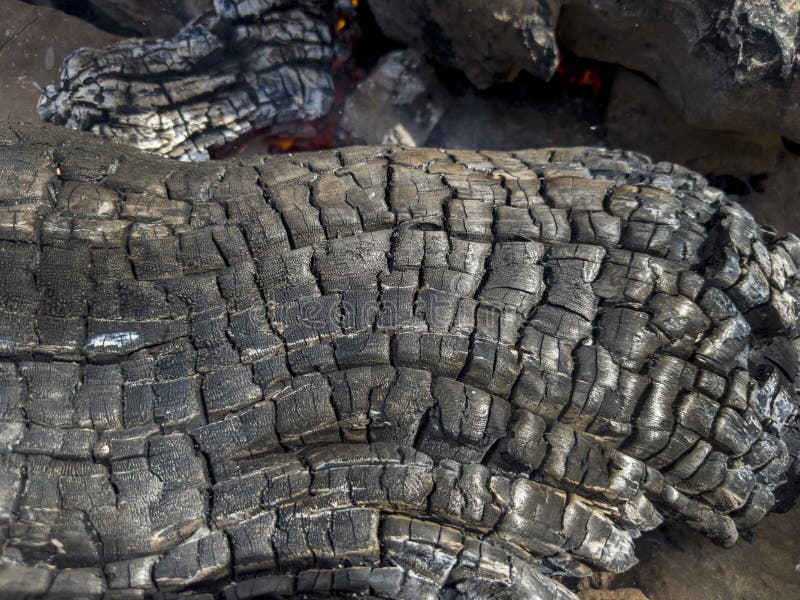 Different Shapes Formed by the Log after Burning Stock Photo - Image of ...