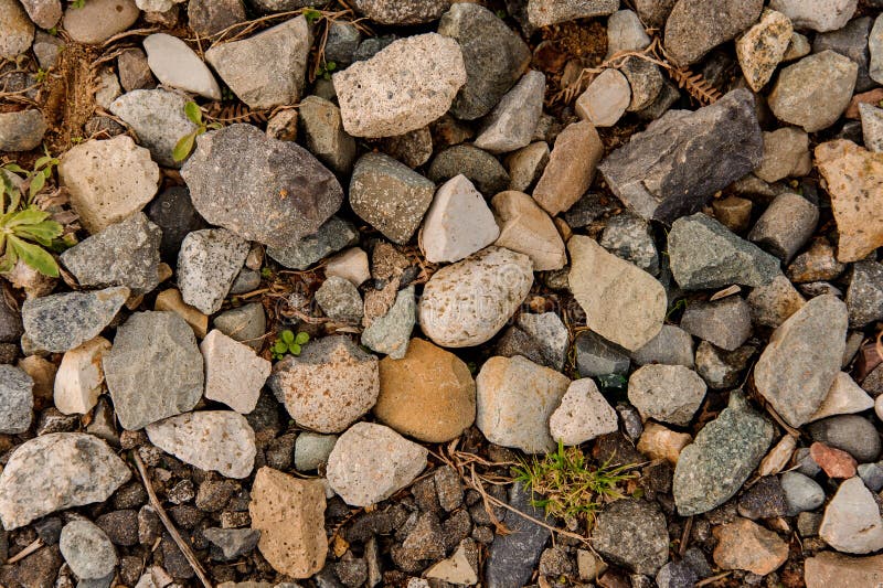 Different Shapes Rocks Lying on the Ground Stock Image - Image of ...