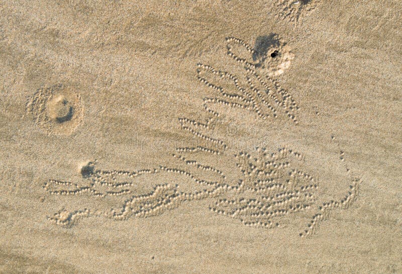 Trace on sand stock photo. Image of tropical, ocean - 105608890