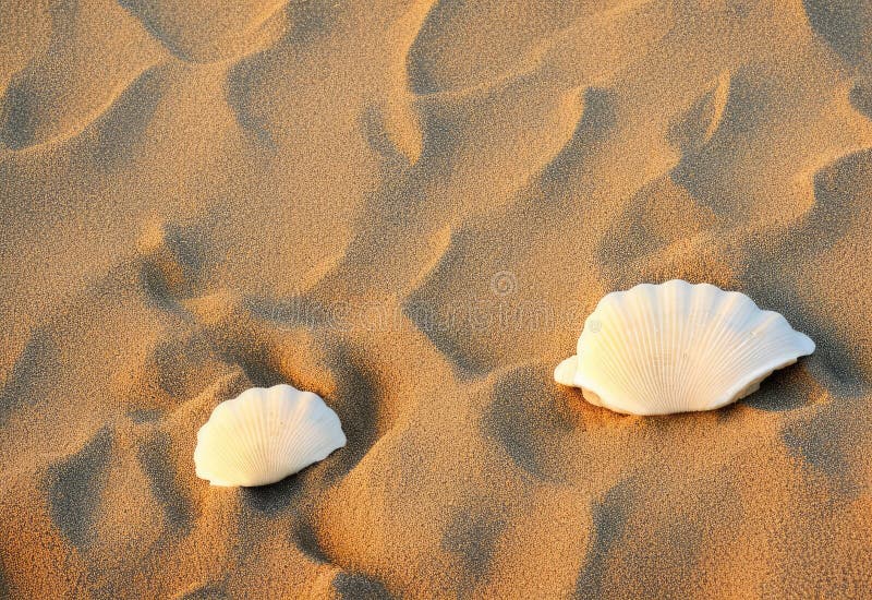 Beach and Colourful Shells on a Sunny Day. Generated with AI Stock ...