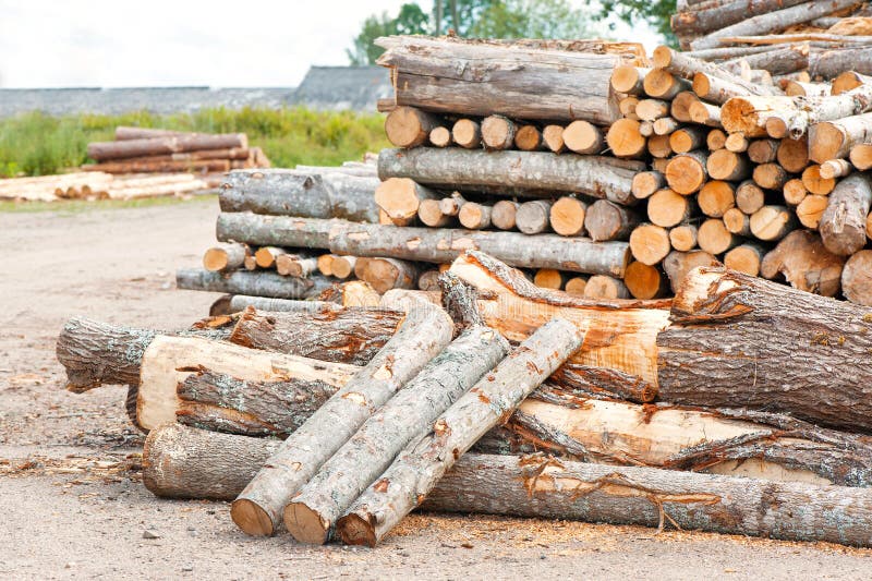Different Size Stacked Wood Logs. Outdoors Storage Stock Image - Image ...