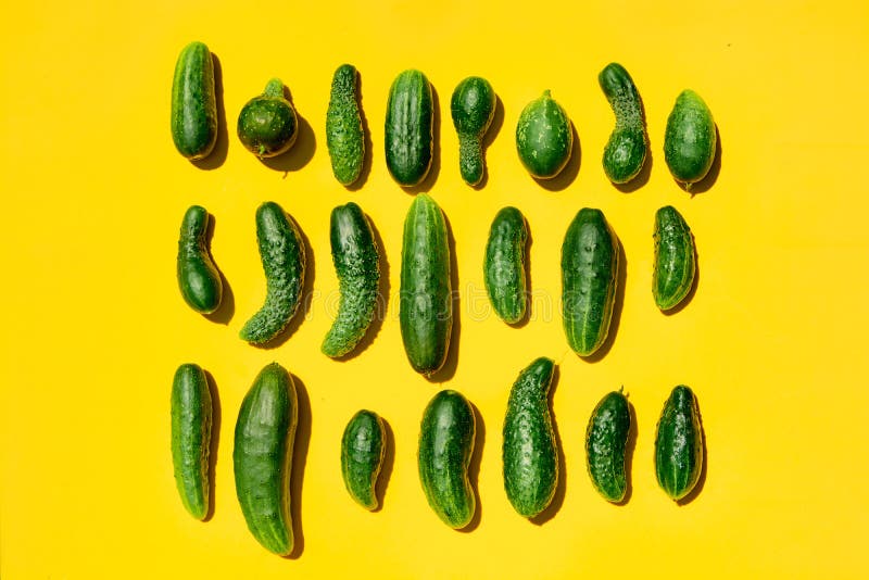 Different Sizes Forms Cucumbers Pattern on a Light Yellow Background ...