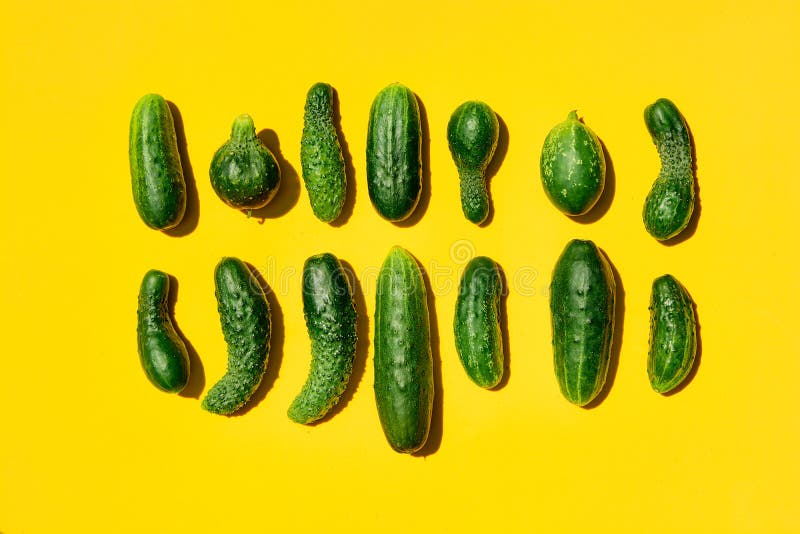 823 Sizes Forms Photos - Free & Royalty-Free Stock Photos from Dreamstime