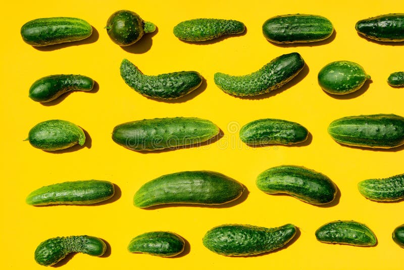 Different Sizes and Forms Cucumbers on a Yellow Background Forms a ...