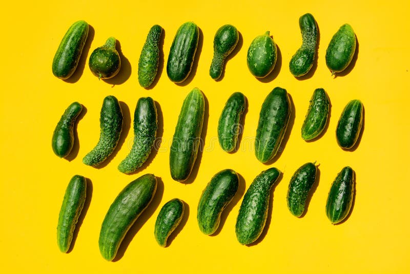 Different Sizes Forms Cucumbers Pattern on a Light Yellow Background ...