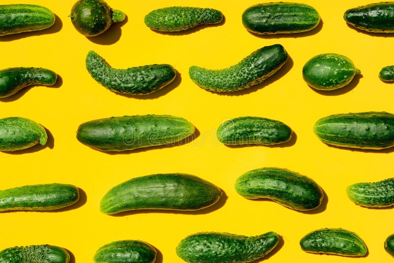 Different Sizes Forms Cucumbers Pattern on a Light Yellow Background ...