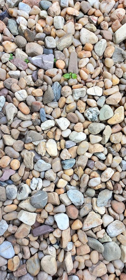 Different Sizes Small Rocks Photography Stock Image - Image of stone ...