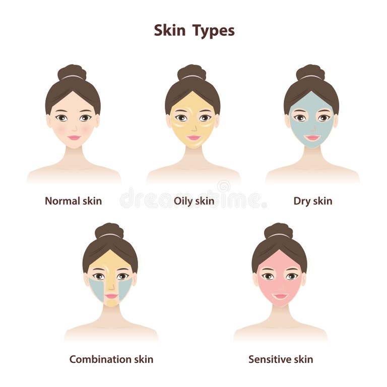 Different Skin Types Vector Set Isolated on White Background. Stock ...