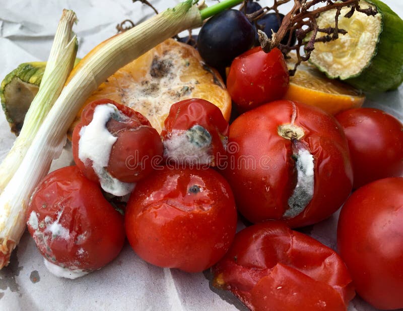 Different Sorts of Rotten Fruit and Vegetables Stock Image - Image of ...