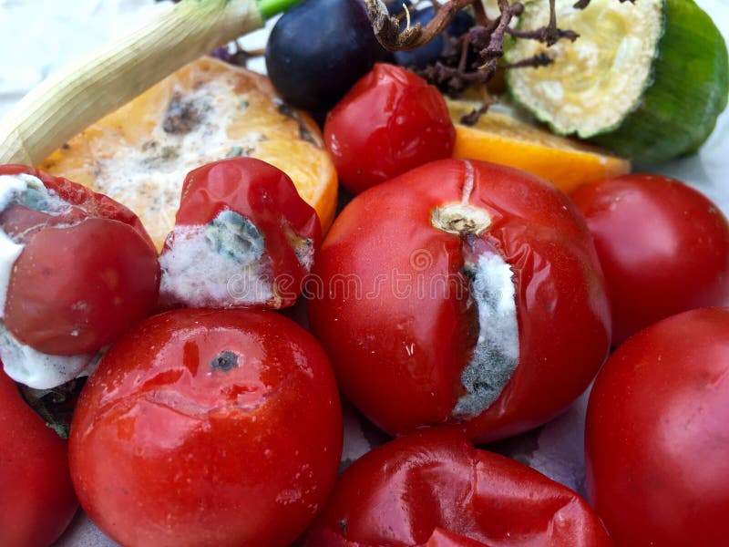 Different Sorts of Rotten Fruit and Vegetables Stock Photo - Image of ...
