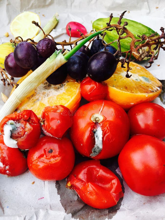 Different Sorts of Rotten Fruit and Vegetables Stock Photo - Image of ...