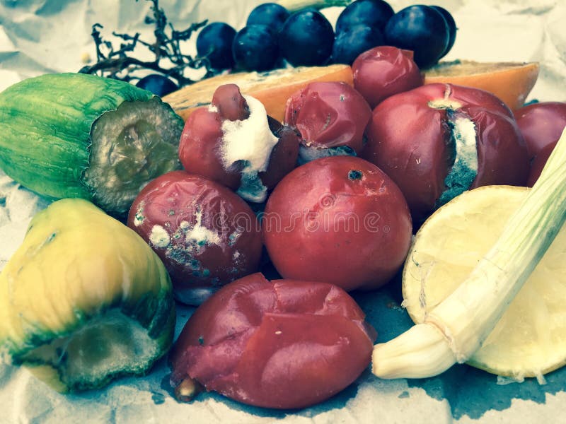 Different Sorts of Rotten Fruit and Vegetables Stock Photo - Image of ...