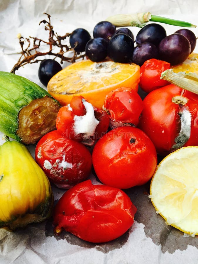 Different Sorts of Rotten Fruit and Vegetables Stock Image - Image of ...