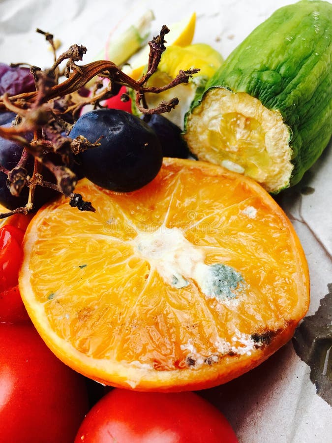 Different Sorts of Rotten Fruit and Vegetables Stock Image - Image of ...