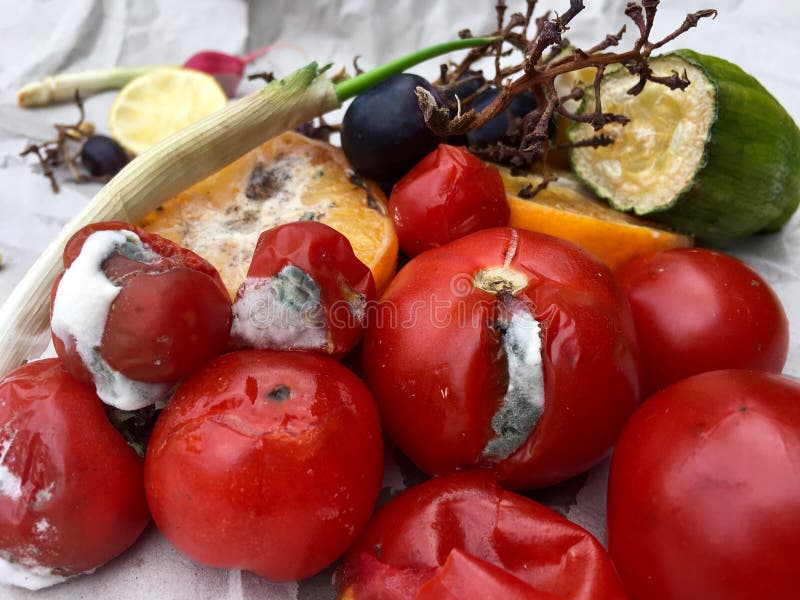Different Sorts of Rotten Fruit and Vegetables Stock Photo - Image of ...