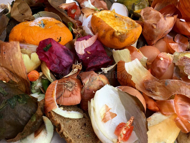 Different Sorts of Rotten Fruits and Vegetables Stock Photo - Image of ...