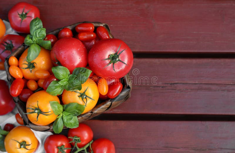 Different Sorts of Tomatoes with Basil on Wooden Table, Above View ...