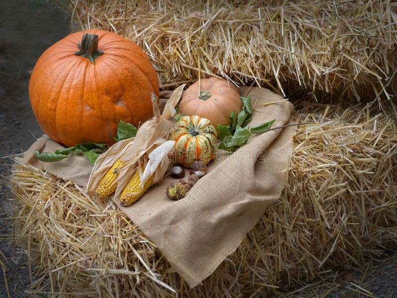 Harvest thanks stock photo. Image of autumn, lemon, fruit - 2880224