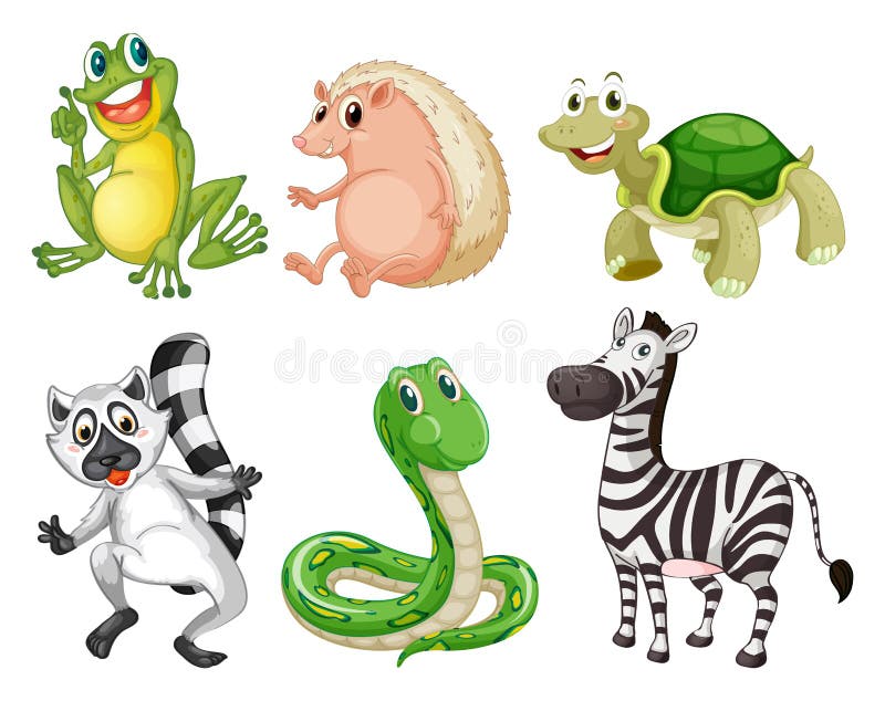 Different Species of Animals Stock Vector - Illustration of stripes ...